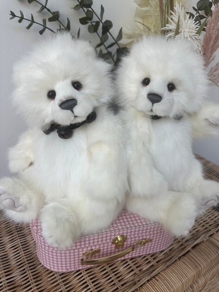 Daria Charlie Bears Plush Collection Polar Bear Teddy Bear – Lovely Bears
